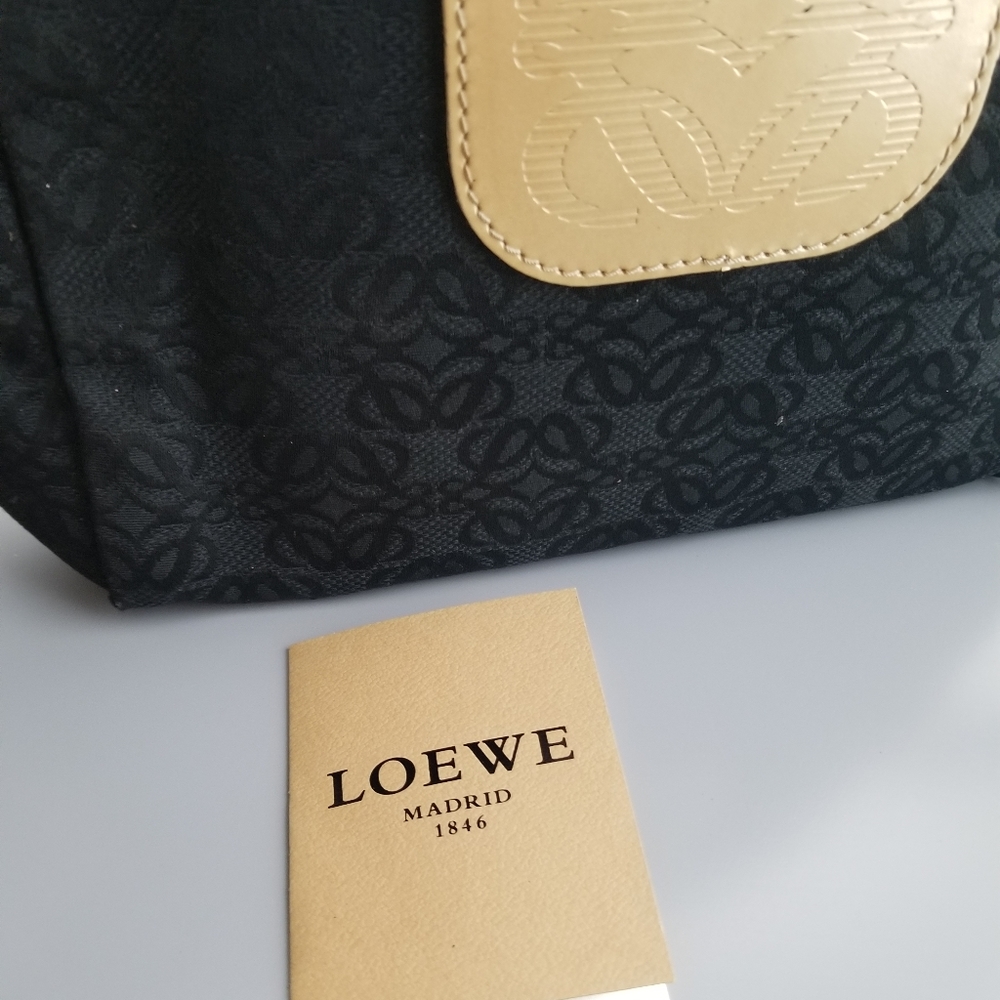 Loewe Lv 6000 - Gem
